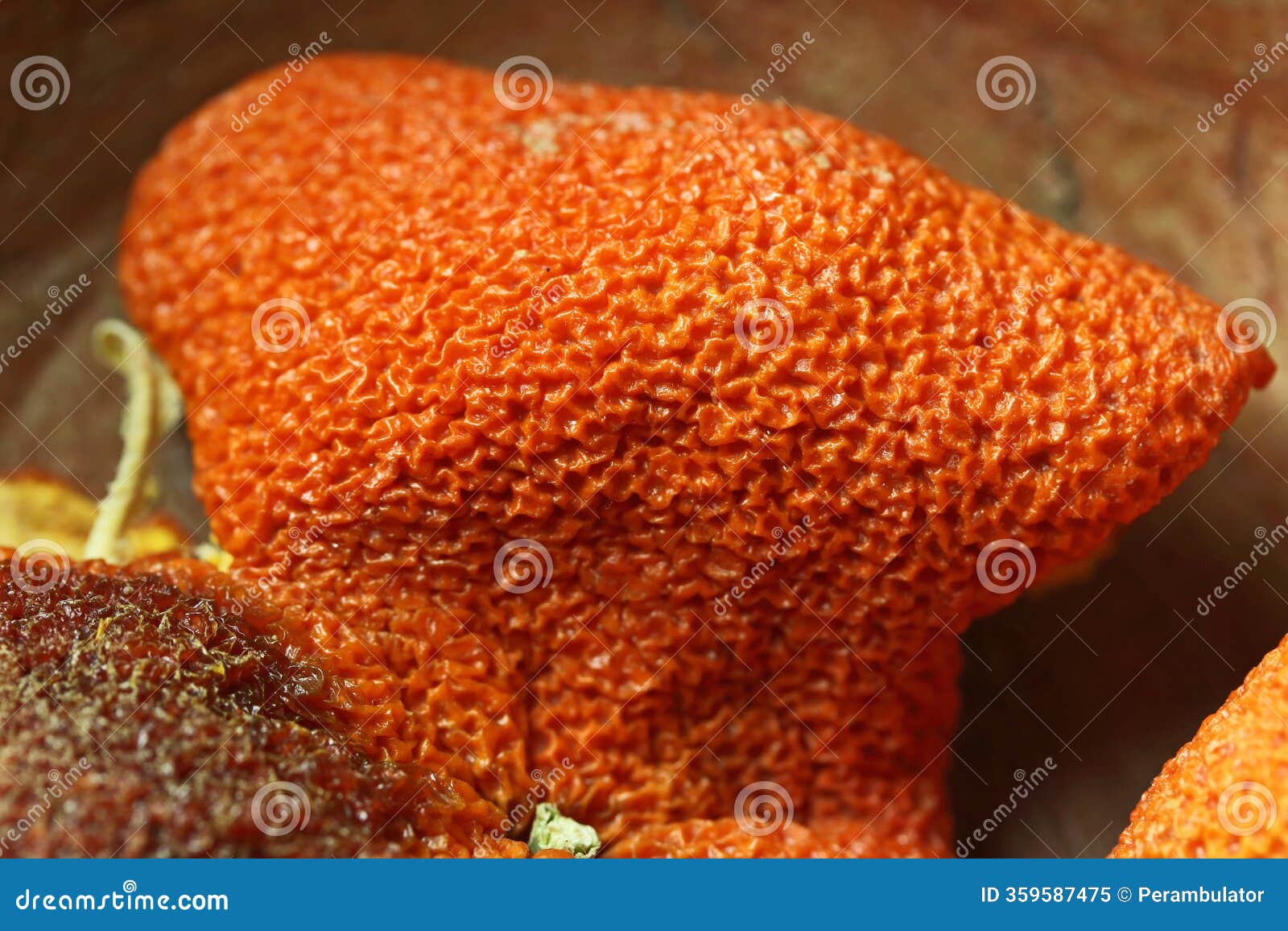 CURLED DRY MANDARIN PEEL with a RIPPLED TEXTURE Stock Image - Image of ...