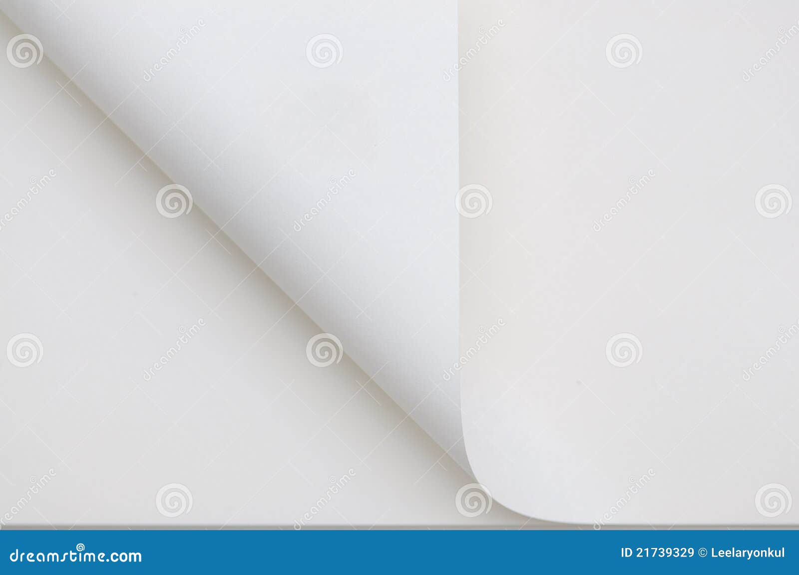 Curled paper stock image. Image of clean, page, message - 21739329