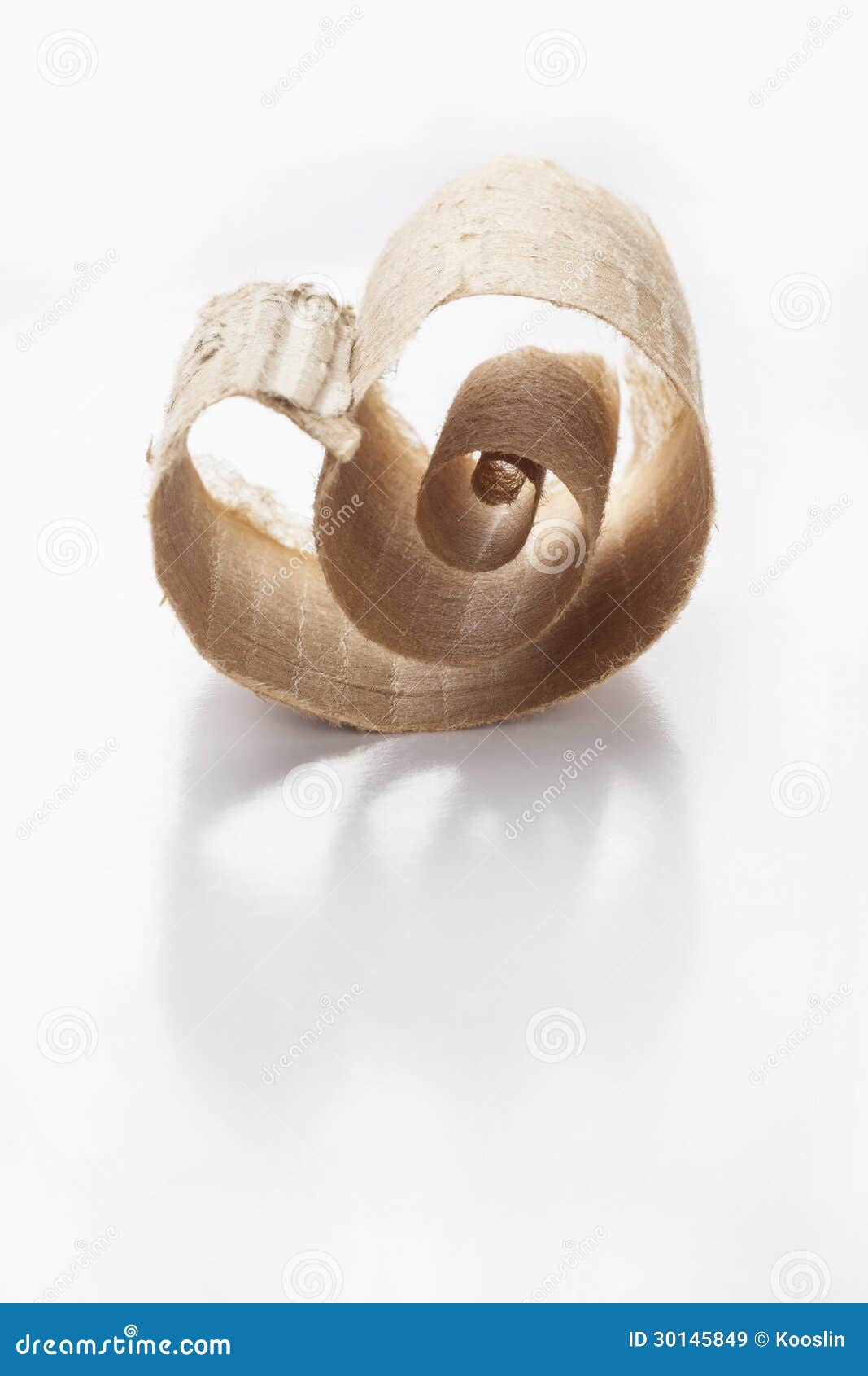 Curled pieces of paper stock image. Image of ripped, curl - 30145849