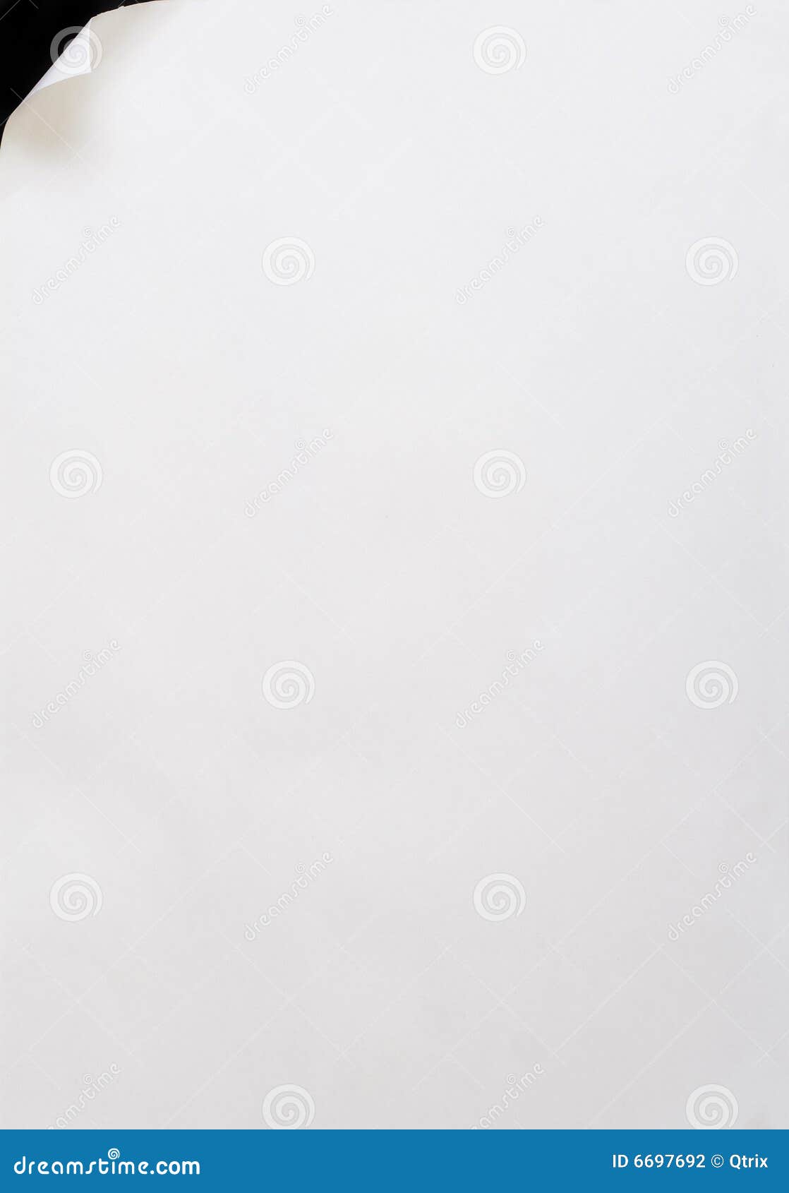 Curled up paper sheet. stock photo. Image of turning, shadow - 6697692