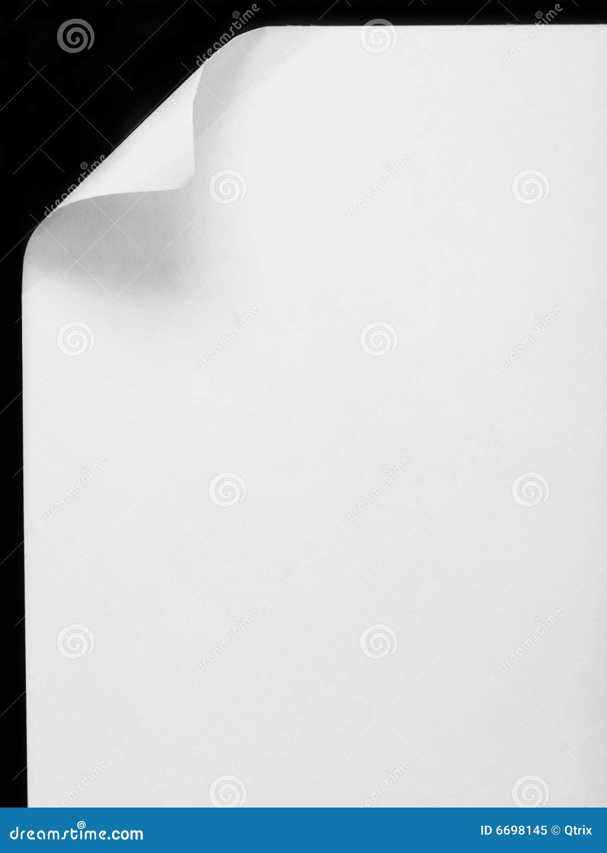 Curled up paper sheet. stock image. Image of empty, white - 6698145