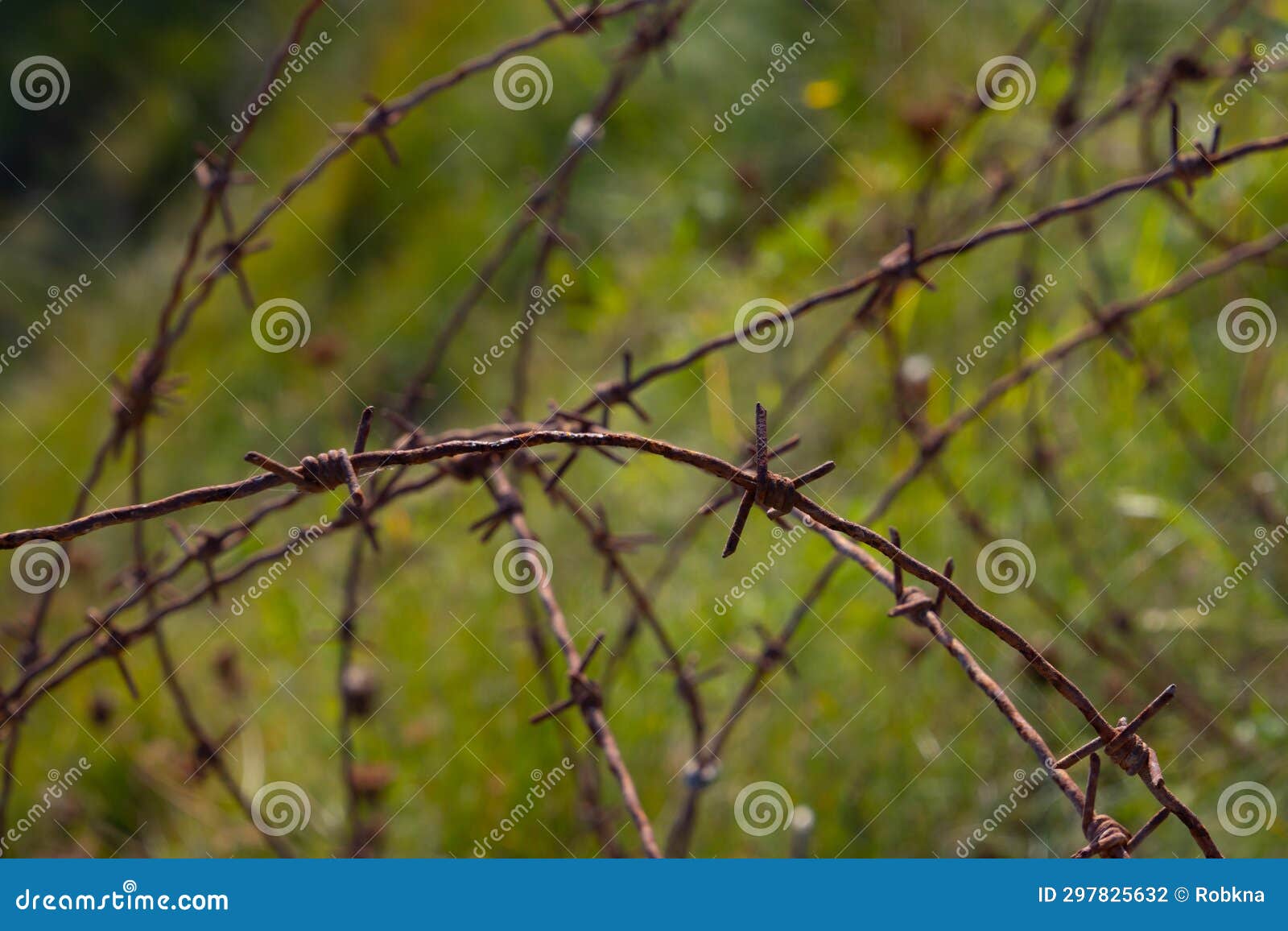 Curled Up Rusty Barbed Wire Close Up Stock Photo - Image of wire ...