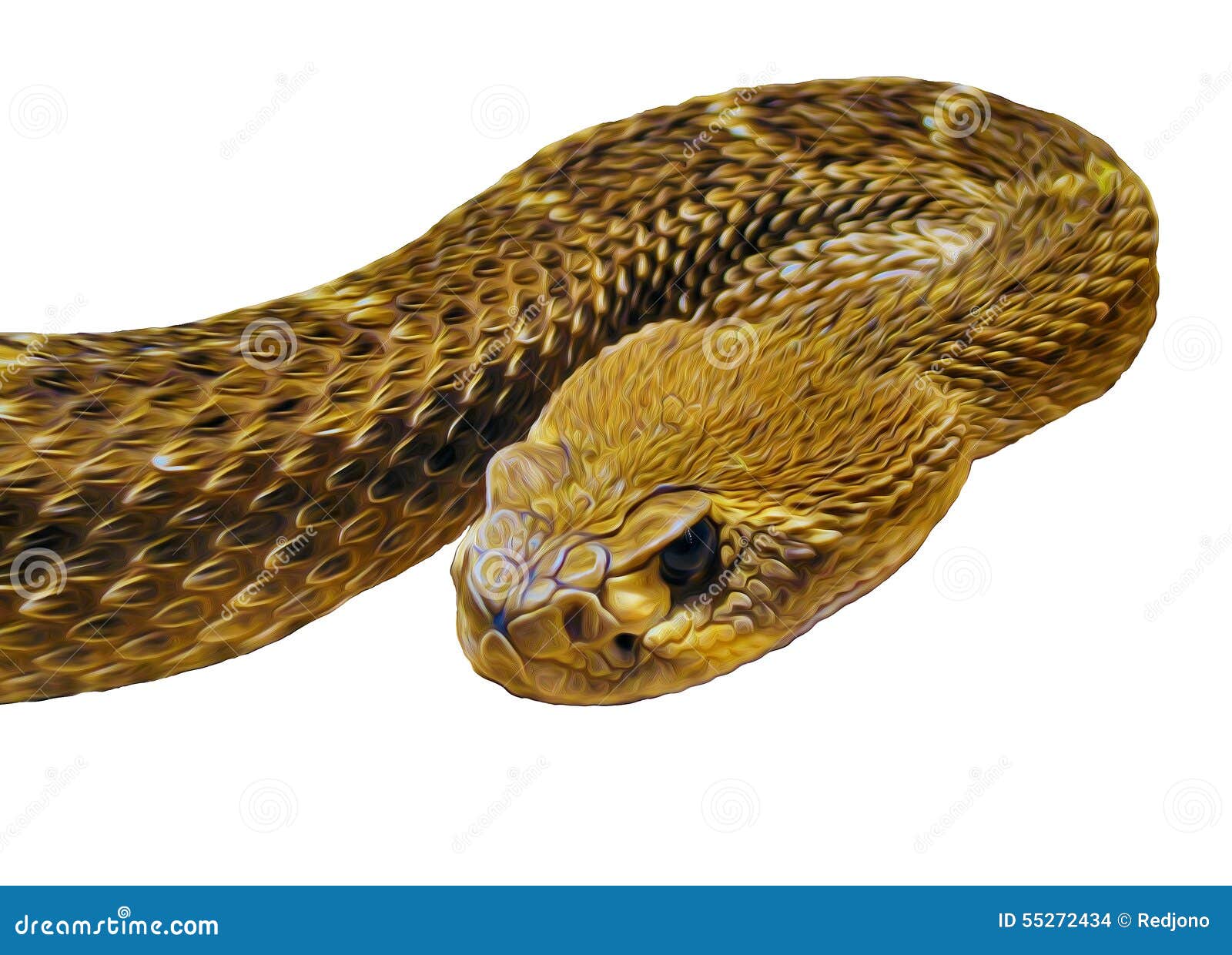Curled viper stock illustration. Illustration of scale - 55272434