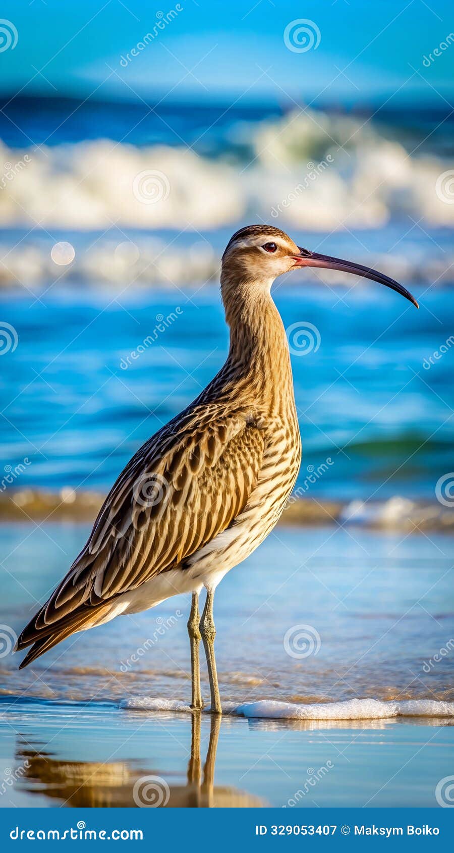 Curlew Line Icon. Signs And Symbols Can Be Used For Web, Logo, Mobile ...