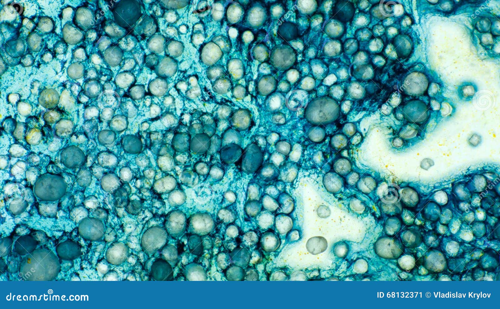 Curlicue of Paints stock image. Image of flow, mars, flowing - 68132371