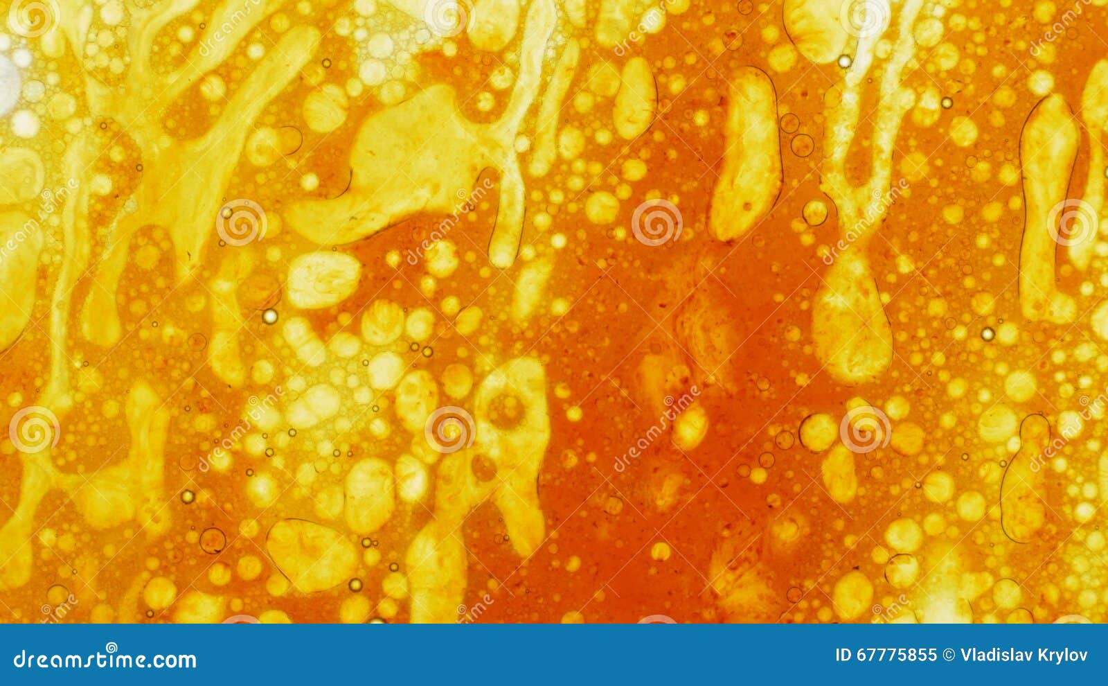 Curlicue of Paints stock image. Image of curlicue, biological - 67775855