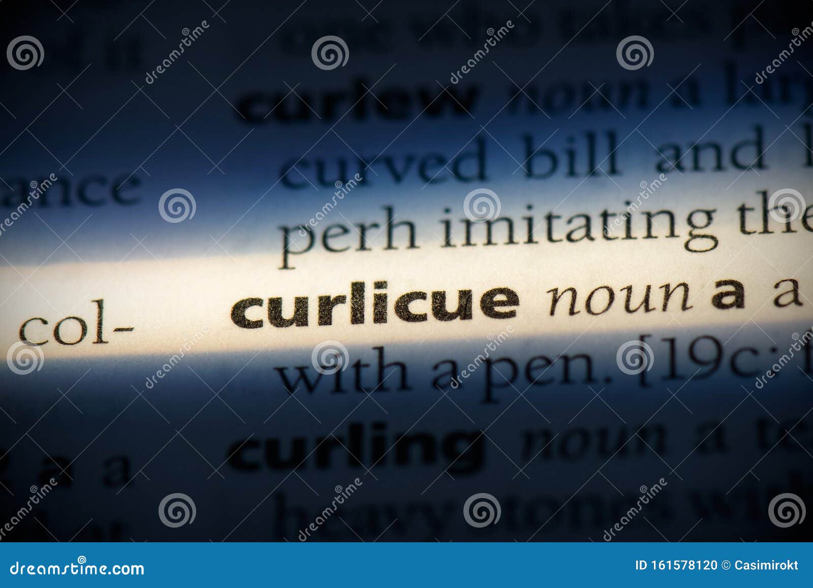 Curlicue stock photo. Image of text, language, meaning - 161578120