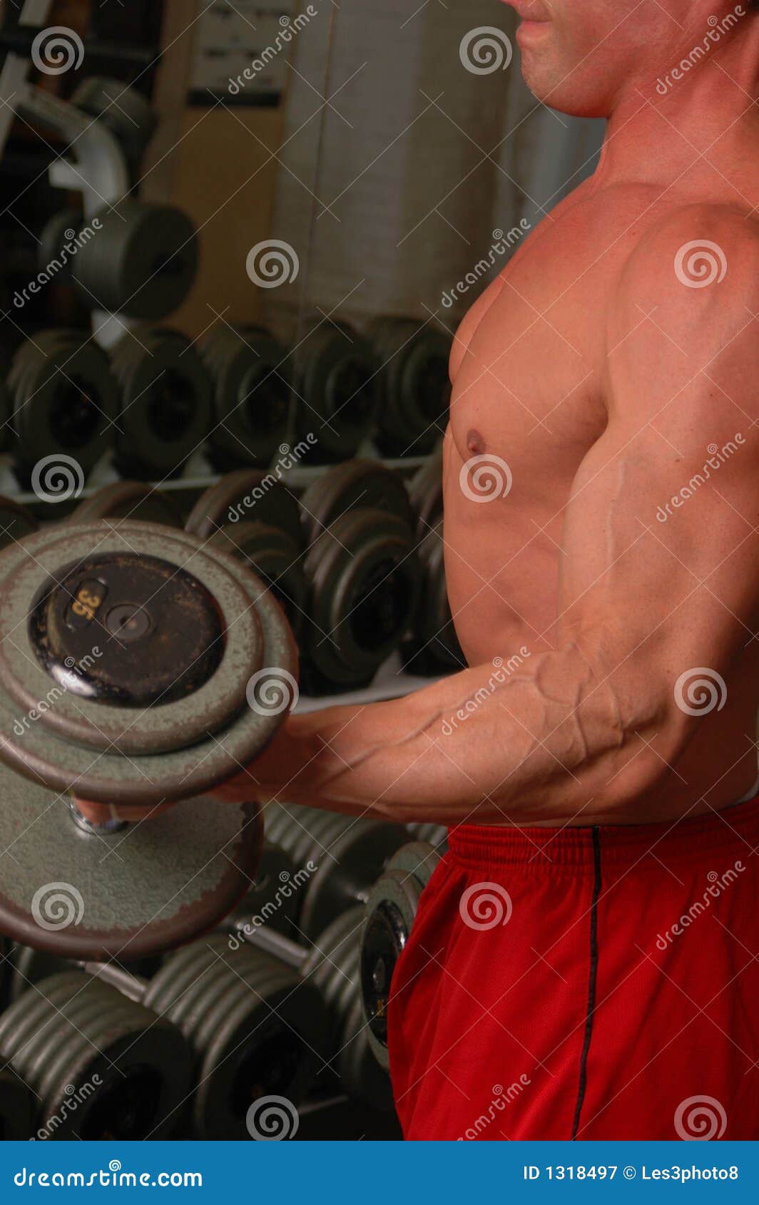 Curling 35 pounds stock image. Image of weight, fitness - 1318497