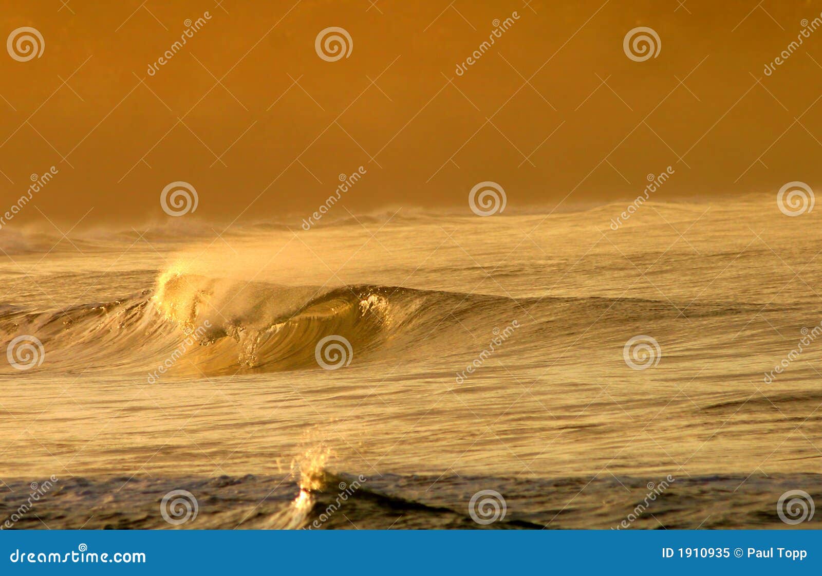 Curling Wave in Costa Rica stock image. Image of ocean - 1910935