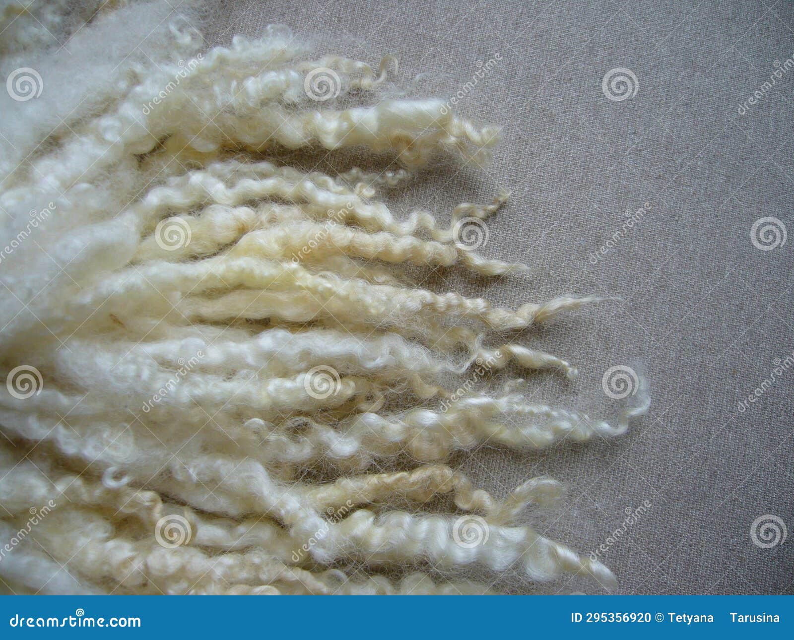 Curls of Natural Sheep Wool for Needlework, Felting. Texture of Fur ...