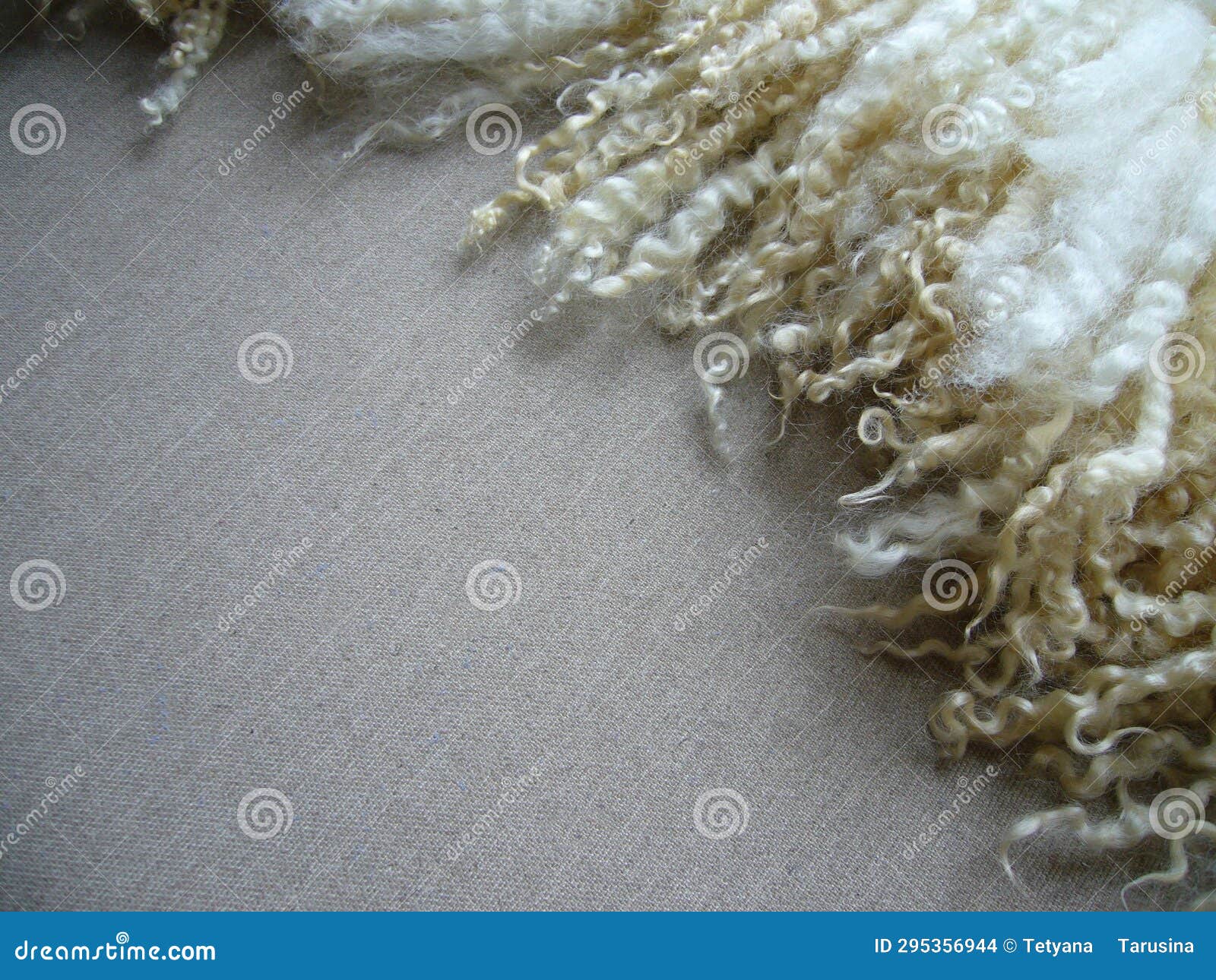 Curls of Natural Sheep Wool for Needlework, Felting. Texture of Fur ...