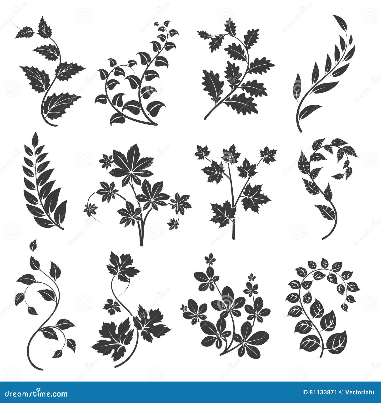 Curly Branches Silhouettes with Leaves Stock Vector - Illustration of ...