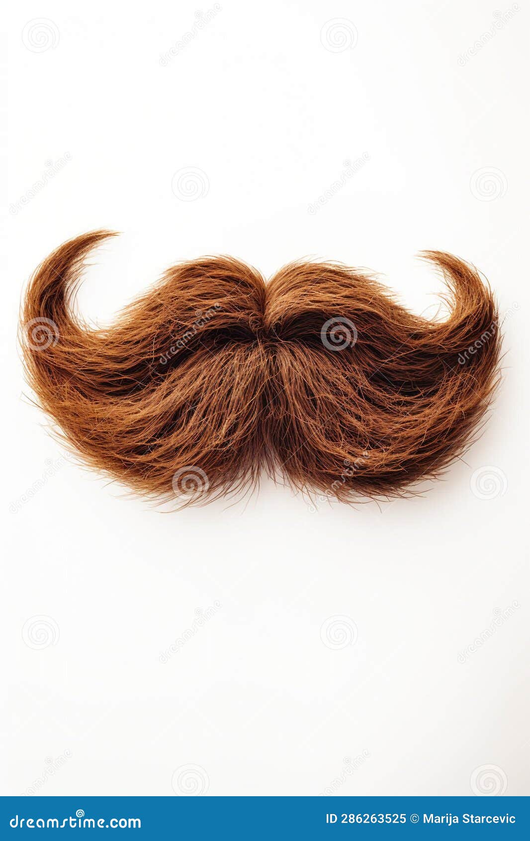 Curly Brown Mustache Isolated on a White Background Stock Image - Image ...