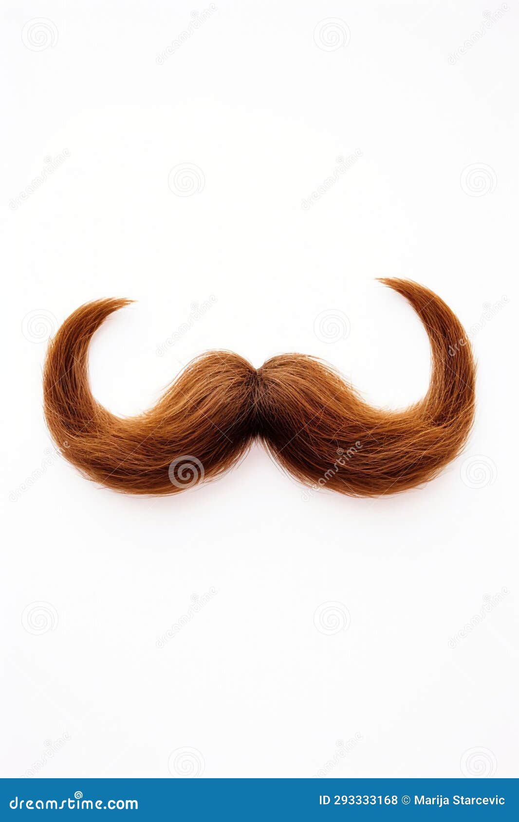 Curly Brown Mustache Isolated on a White Background Stock Photo ...