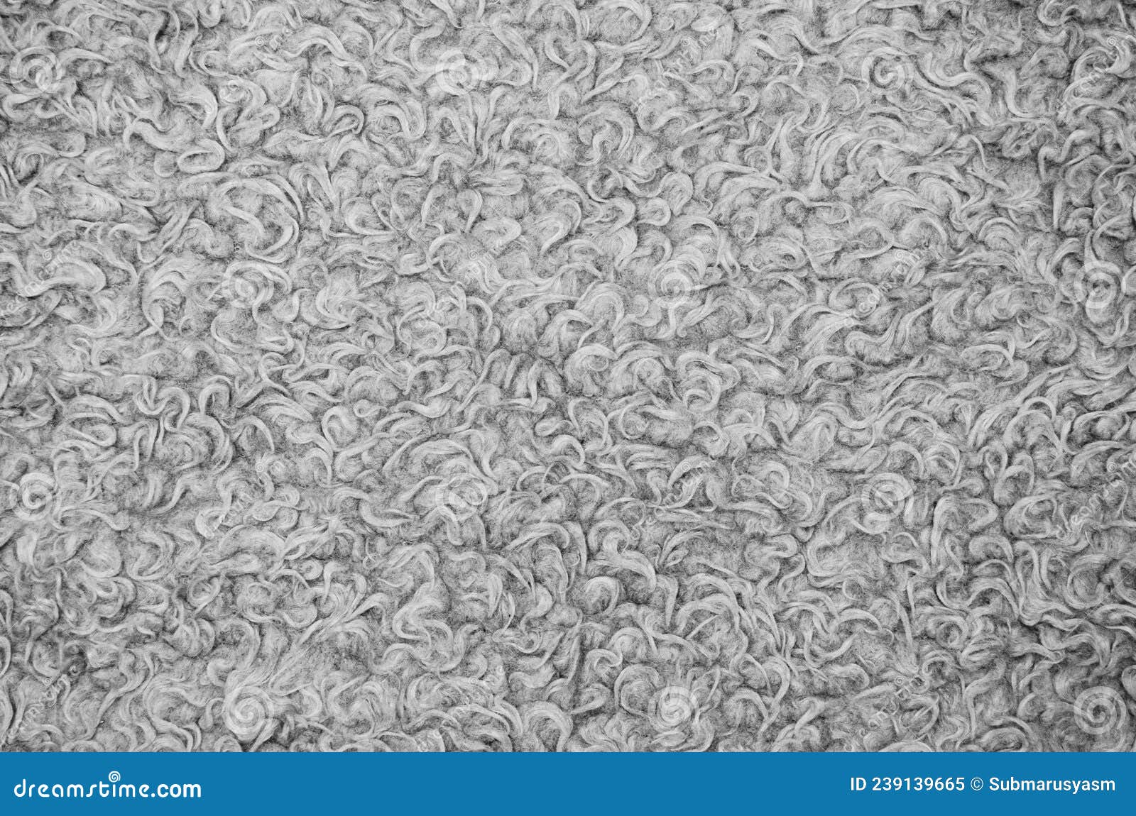Curly Fur Light Gray Texture Background Stock Image - Image of pattern ...