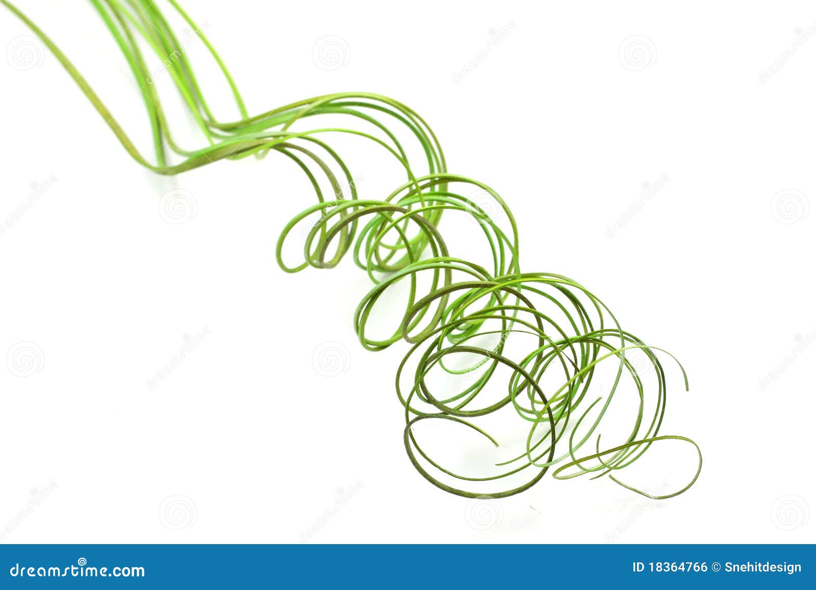 Curly green grass stock photo. Image of decorative, green - 18364766
