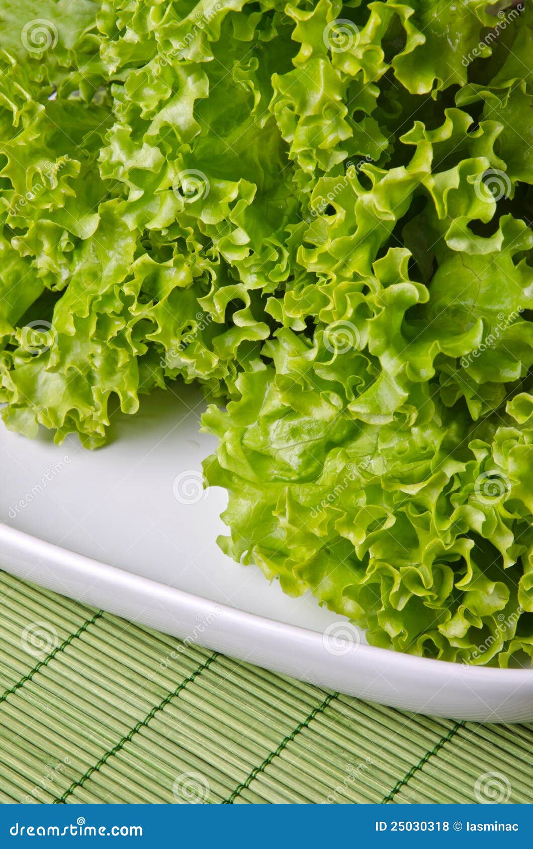 Curly green salad stock photo. Image of vegetable, lettuce - 25030318