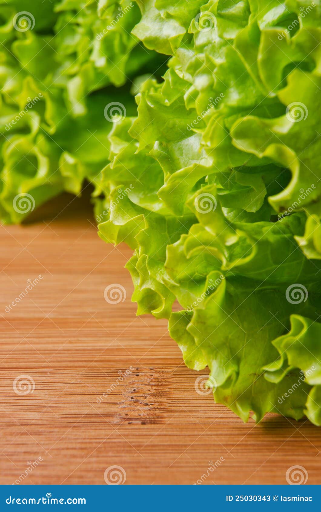 Curly green salad stock image. Image of meal, food, greens - 25030343