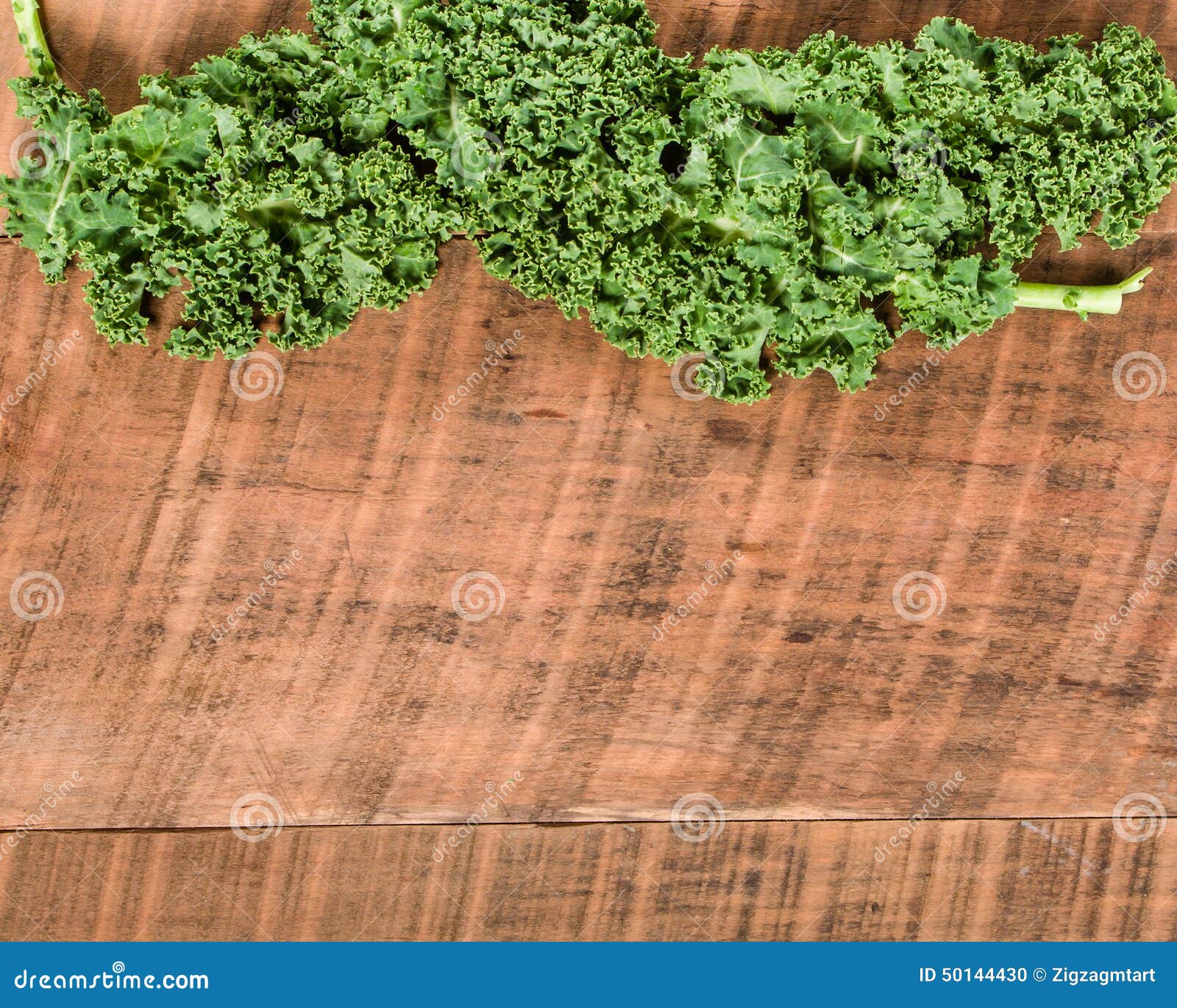 Curly Kale Leaves for Border Stock Photo - Image of nutrition, leaves ...