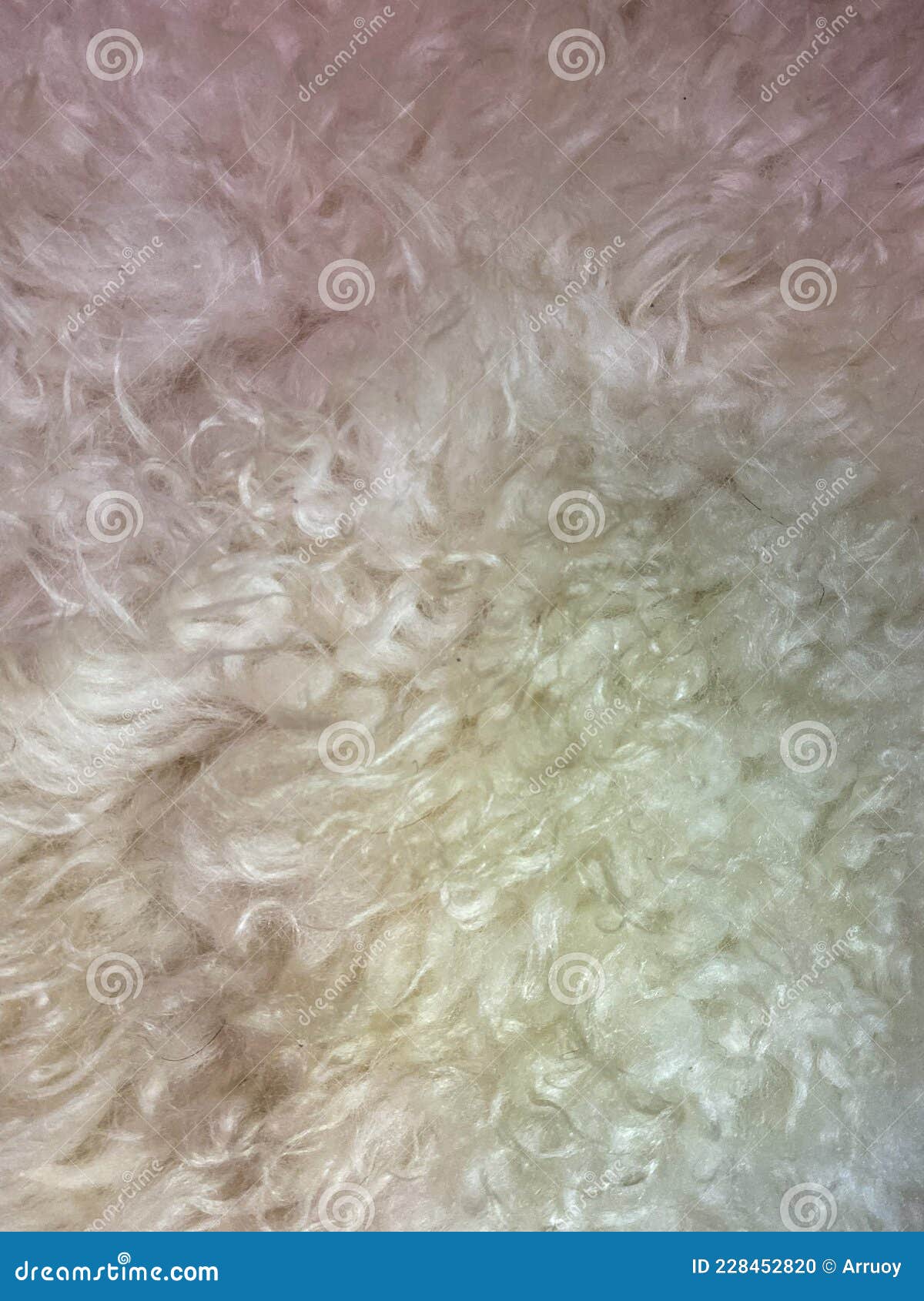 Curly ram Fur stock photo. Image of pink, brown, design - 228452820