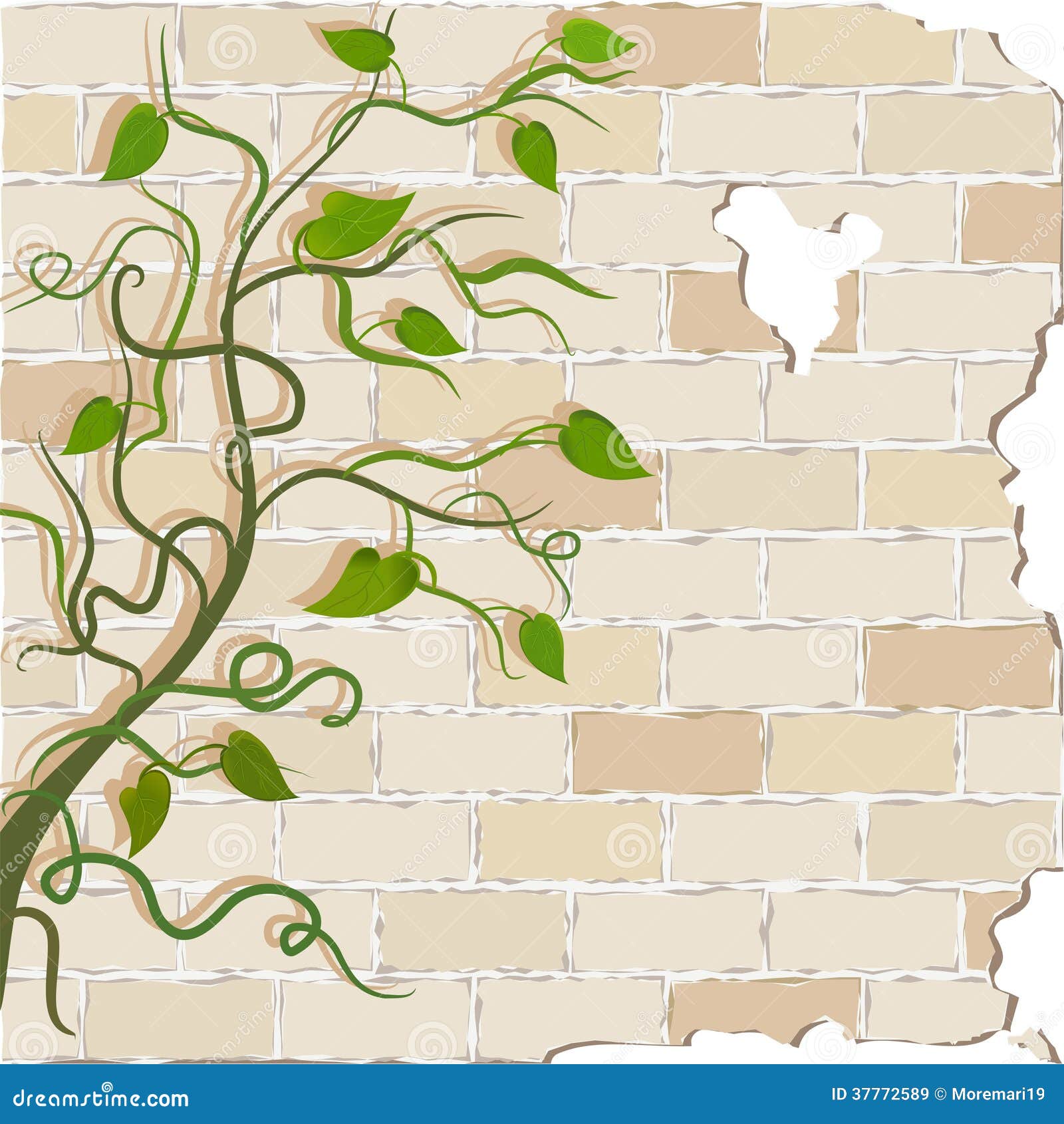 Curly Vines on a Brick Wall Stock Vector - Illustration of wall, broken ...