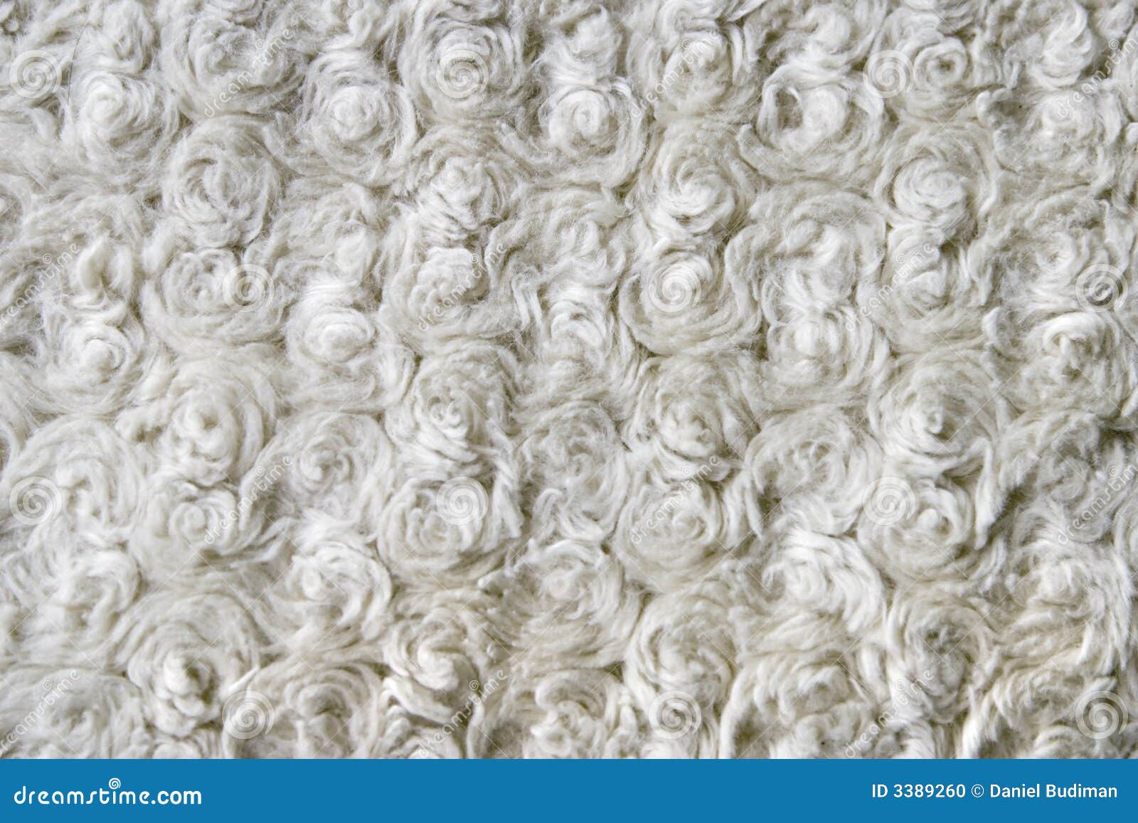 Curly Wool Texture Close Up Stock Photo - Image of abstract, fabric ...