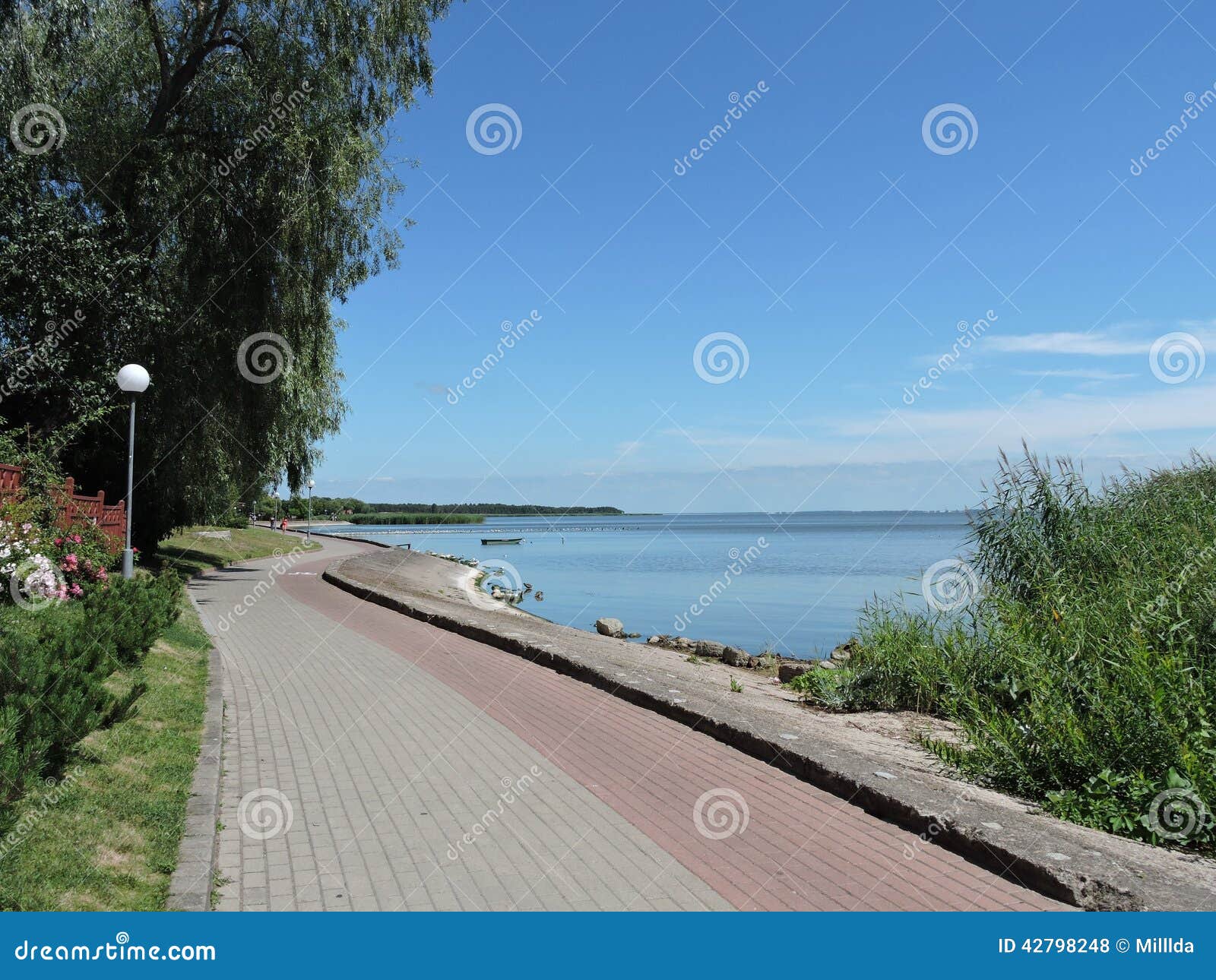 Curonian Lagoon Shore, Lithuania Stock Photo - Image of curonian ...