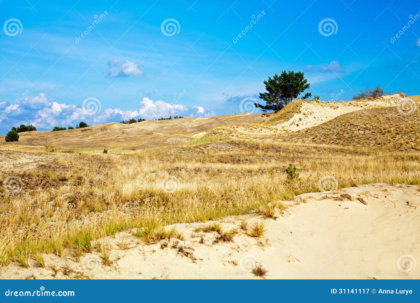 At The Curonian Spit Picture. Image: 31141117
