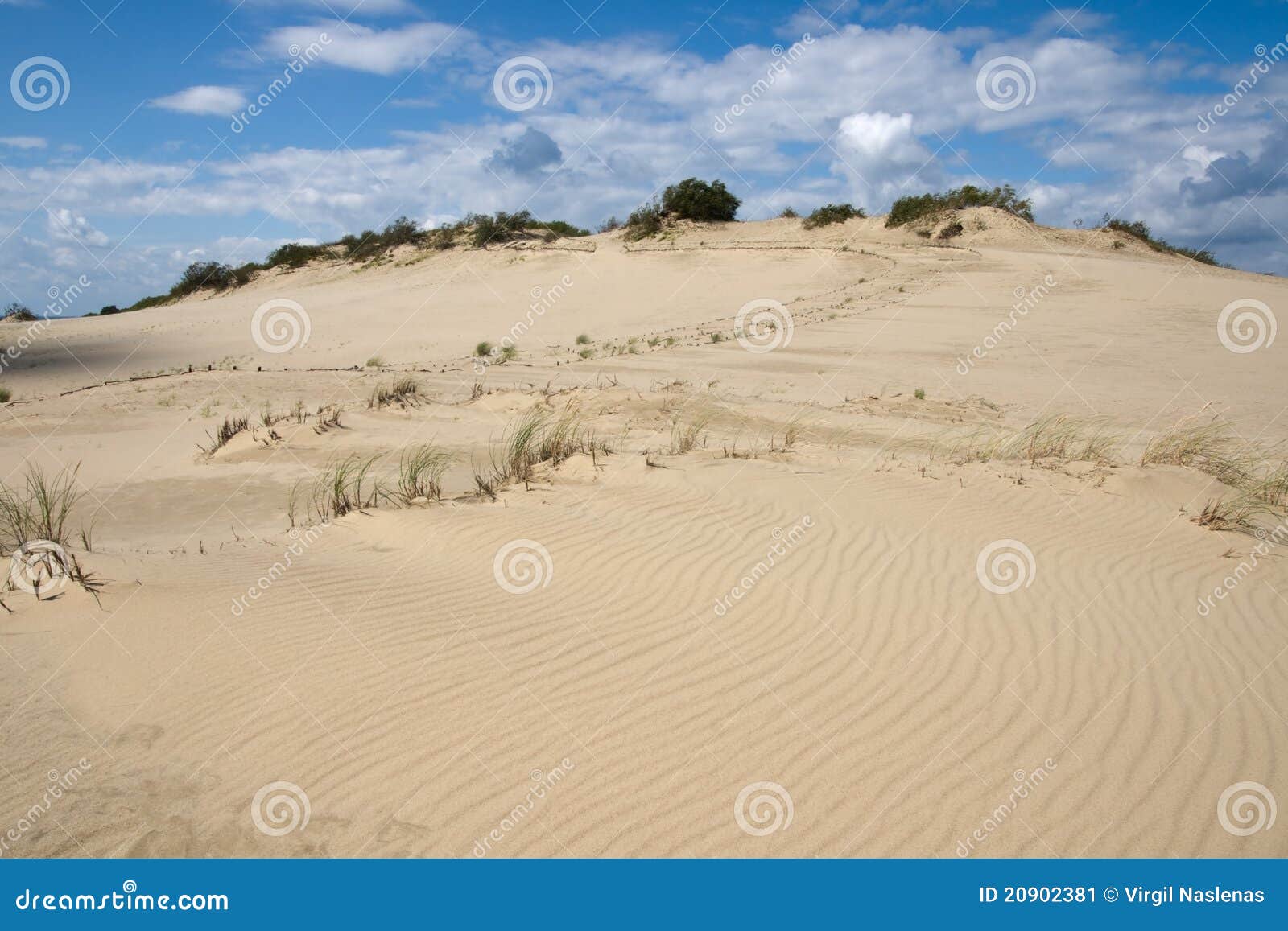Curonian spit sand dunes stock image. Image of cloudy - 20902381