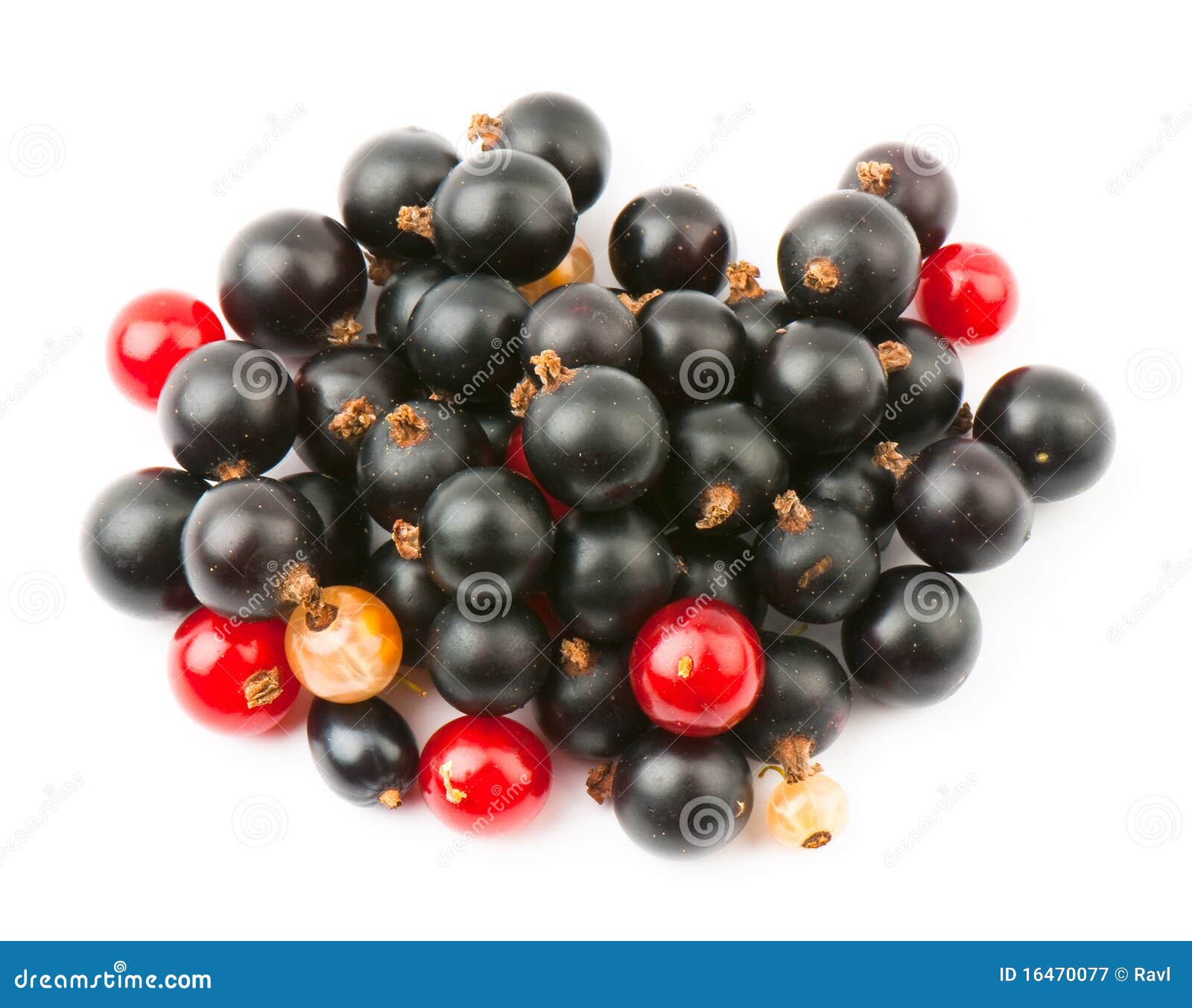 Currant stock image. Image of fresh, nutrition, redcurrant - 16470077