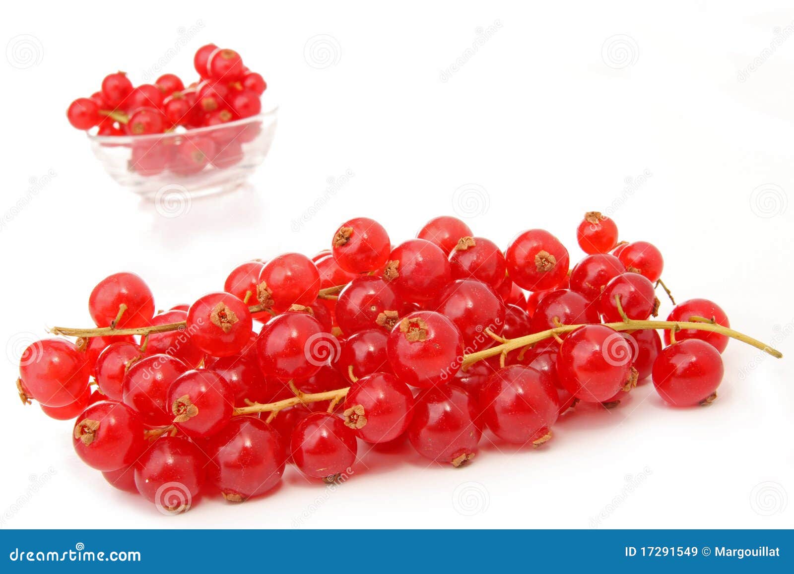 Currant stock image. Image of fresh, currant, delicious - 17291549