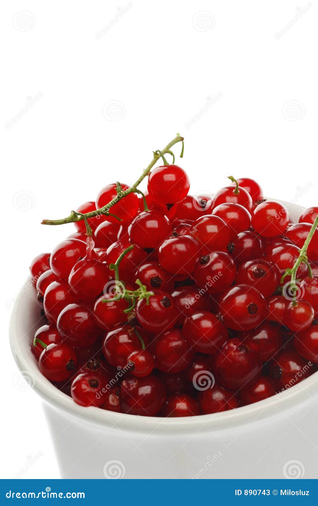 Currant stock image. Image of food, copy, grape, kitchen - 890743
