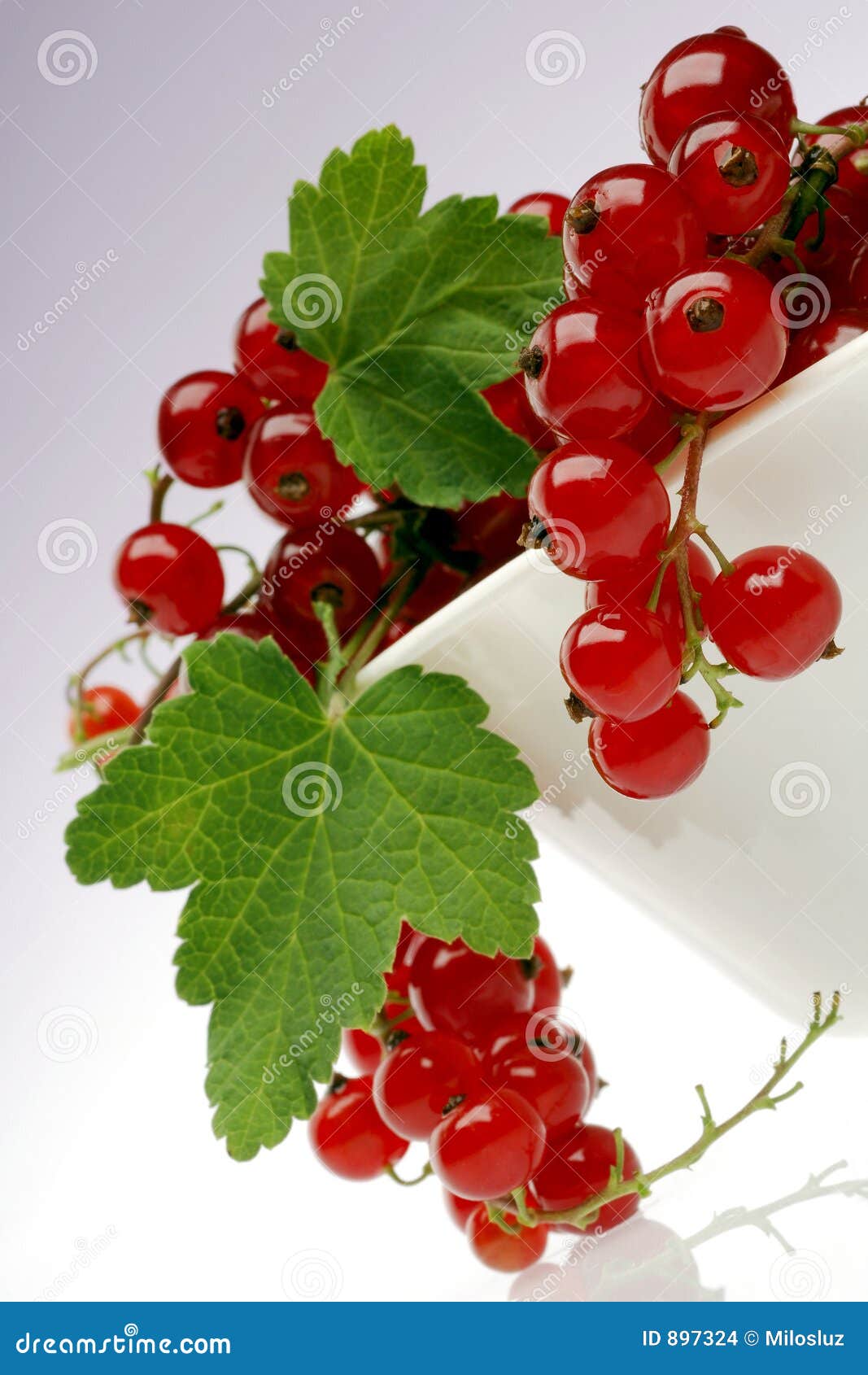 Currant stock photo. Image of food, grape, kitchen, bowl - 897324
