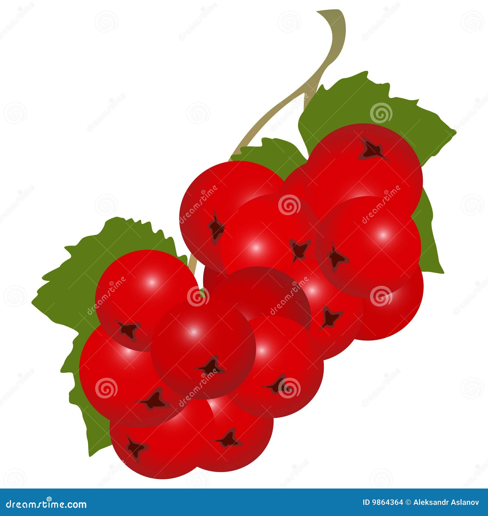 Currant stock vector. Illustration of diet, vitamins, fruity - 9864364