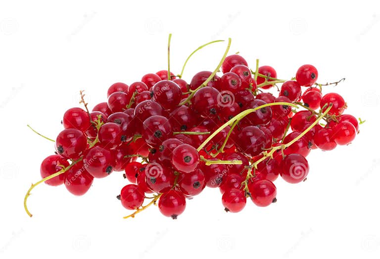 Currant Healthy Eating Isolated Stock Photo - Image of fresh, eating ...