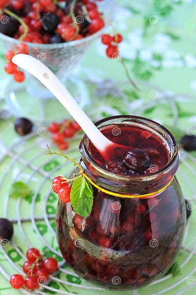 Currant jam stock photo. Image of redcurrants, jelly - 15159208
