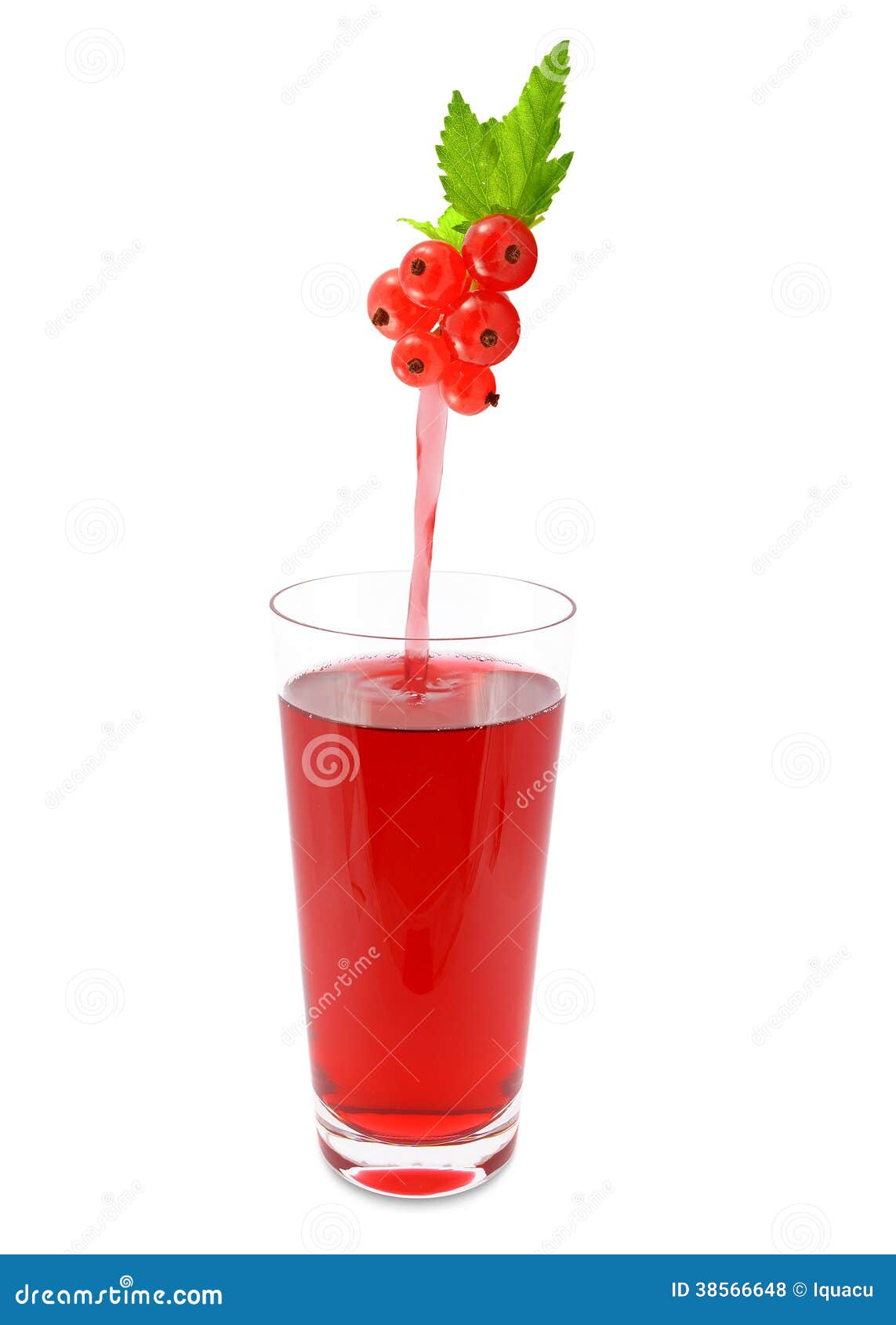 Currant juice stock photo. Image of black, fresh, currant - 38566648
