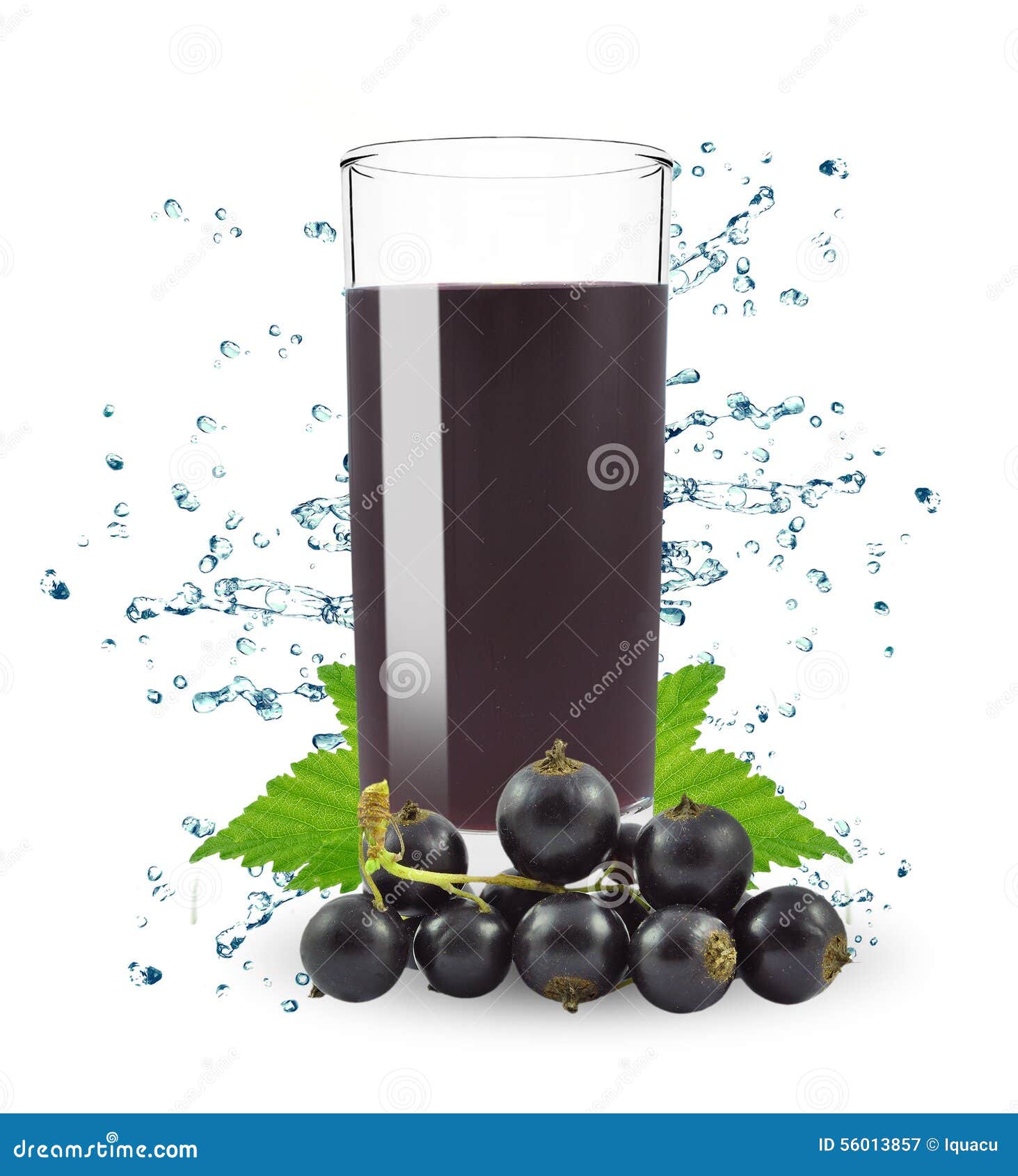 Currant juice stock image. Image of white, spring, isolated - 56013857