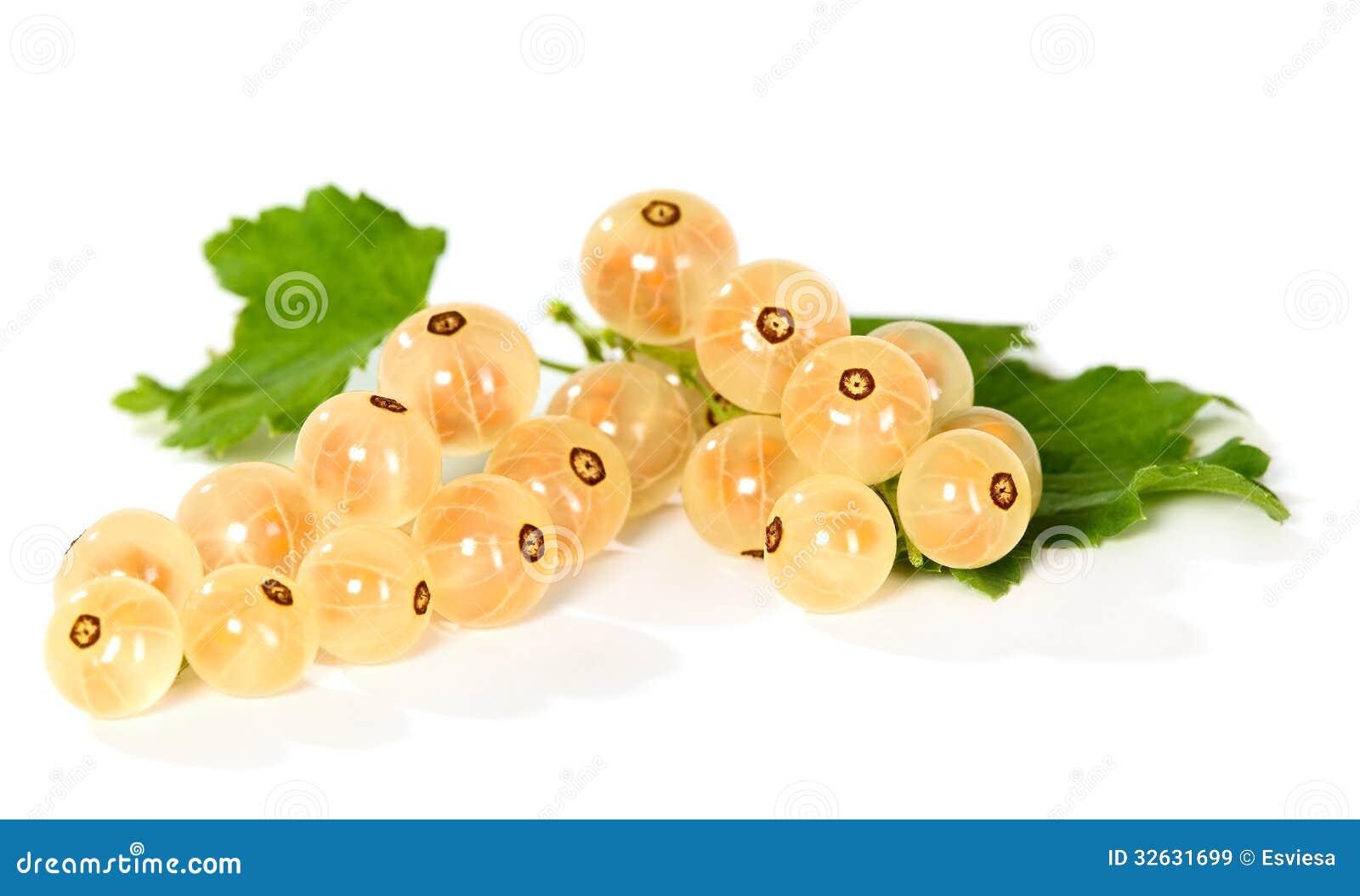 Currant with Leaves, Food Concept Stock Image - Image of macro, harvest ...