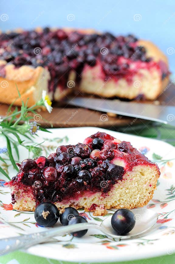 Currant pie stock photo. Image of flan, pastry, homemade - 15072892