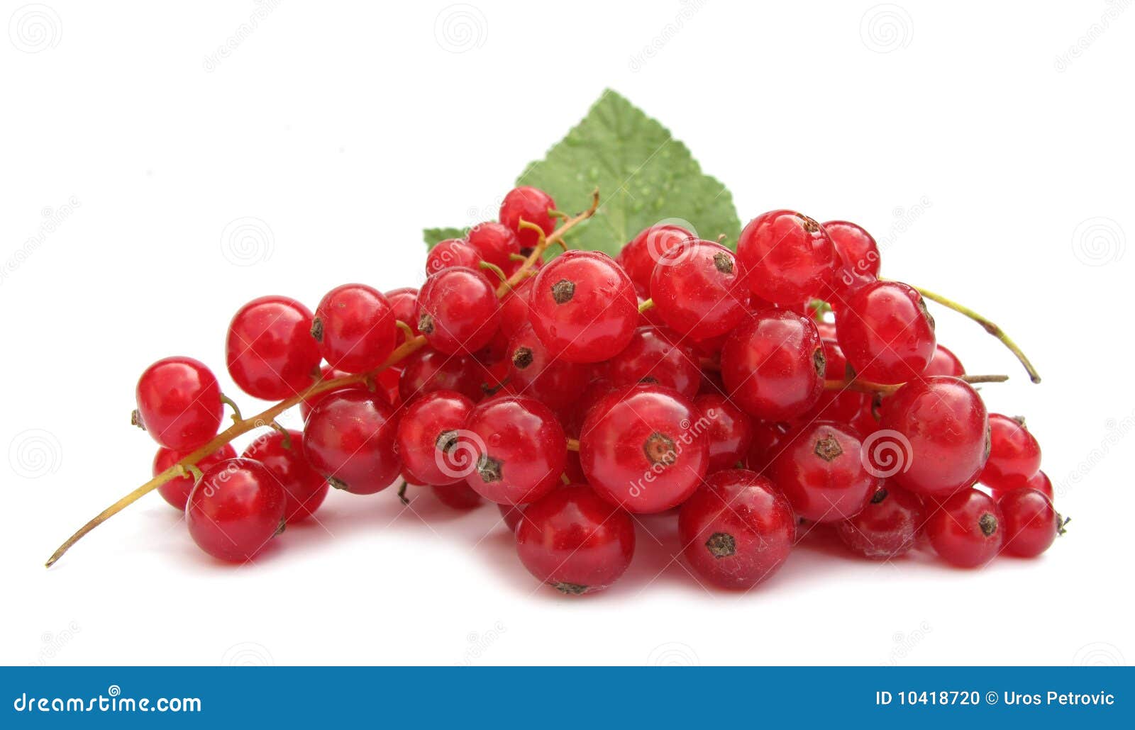 Currant red redcurrant stock photo. Image of avium, fresh - 10418720