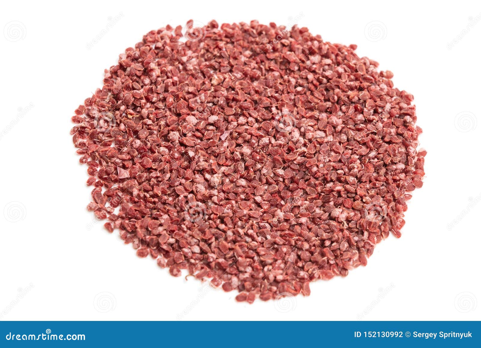 Currant Seeds for Seeding on White Isolated Background Side View Stock ...
