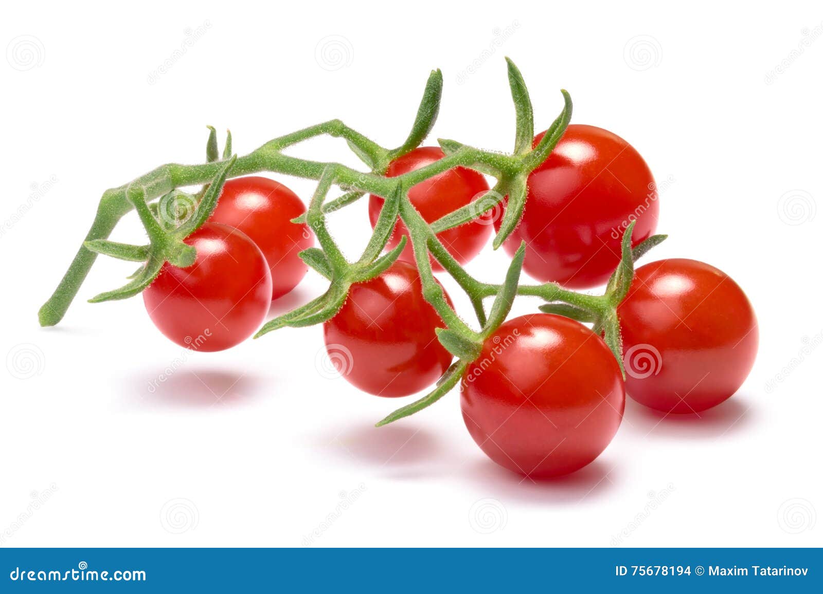 Currant Sweet Pea Tomatoes, Paths Stock Photo - Image of white, currant ...