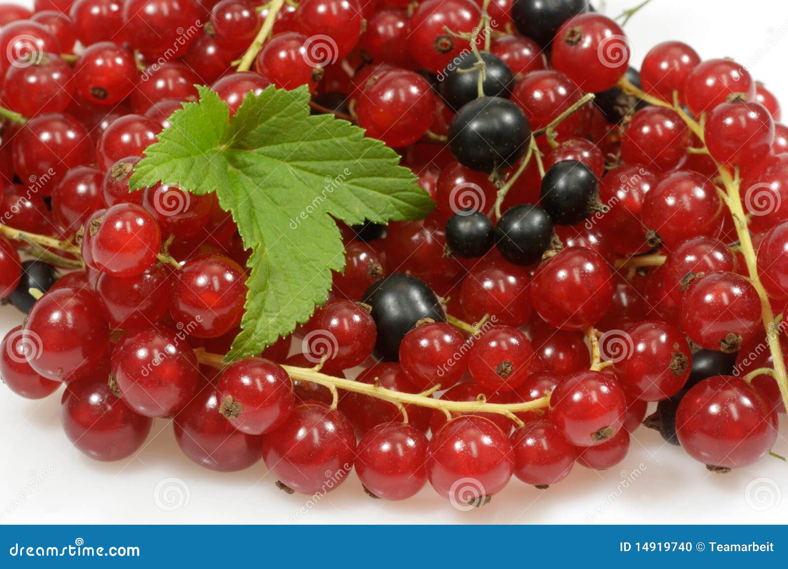 Currants stock photo. Image of berry, healthy, fresh - 14919740