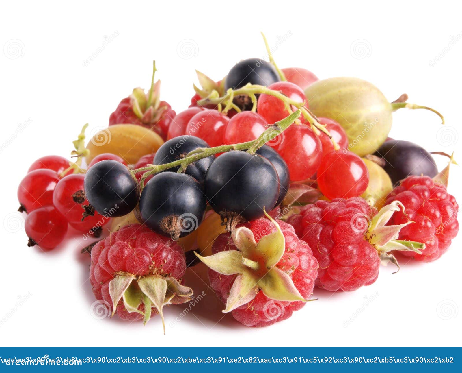 Currants berry stock image. Image of snack, heap, organic - 63412489