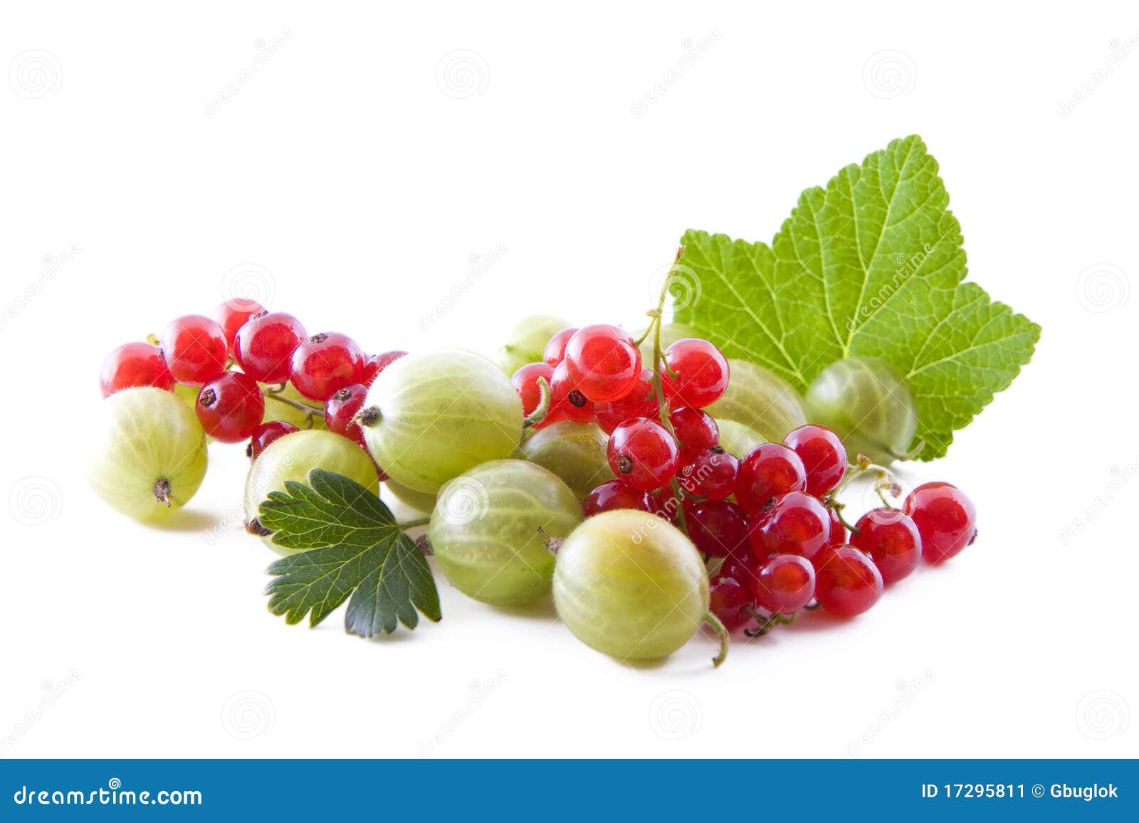 Currants and gooseberry stock image. Image of nature - 17295811