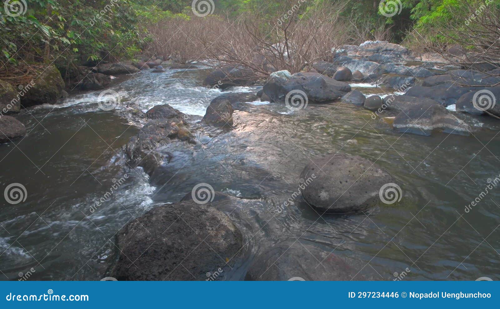 Current Flowing through Rocks of the Stream in the Forest.mov Stock ...