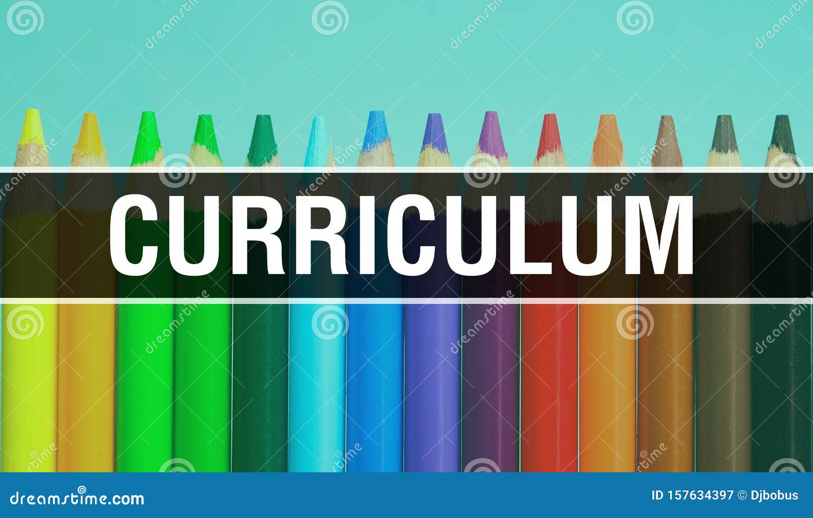 Curriculum Concept with Education and Back To School Concept. Creative ...
