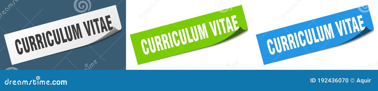 Curriculum Vitae Banner. Curriculum Vitae Speech Bubble Label Set ...