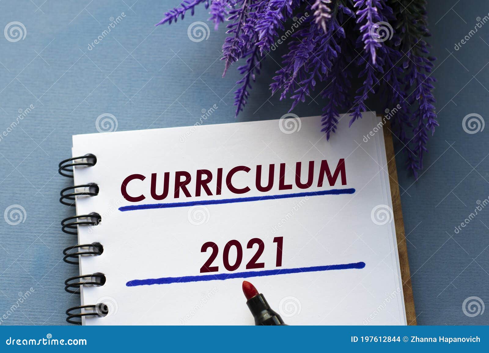 CURRICULUM 2021- Written in a Notebook on a Gray Background with ...